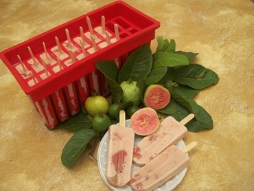 Receita de Picolé de Goiaba - Ana Maria Brogui